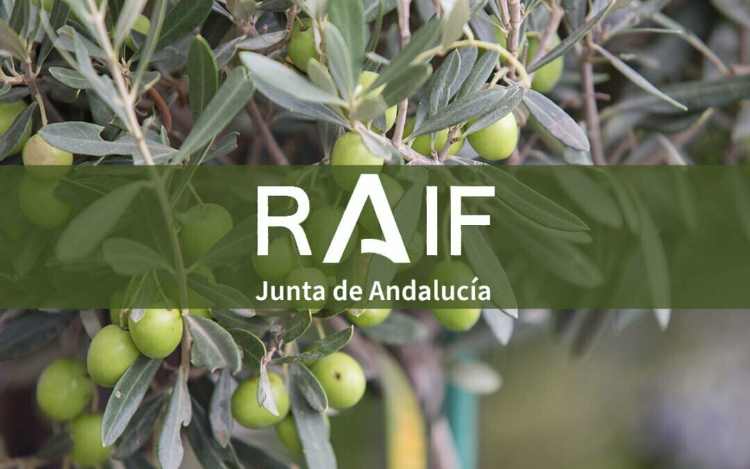 RAIF - Red de Alerta e Información Fitosanitaria