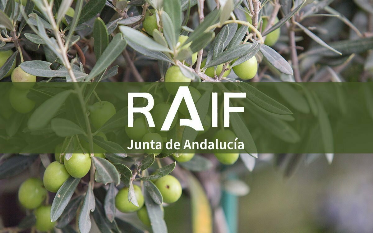 RAIF - Red de Alerta e Información Fitosanitaria