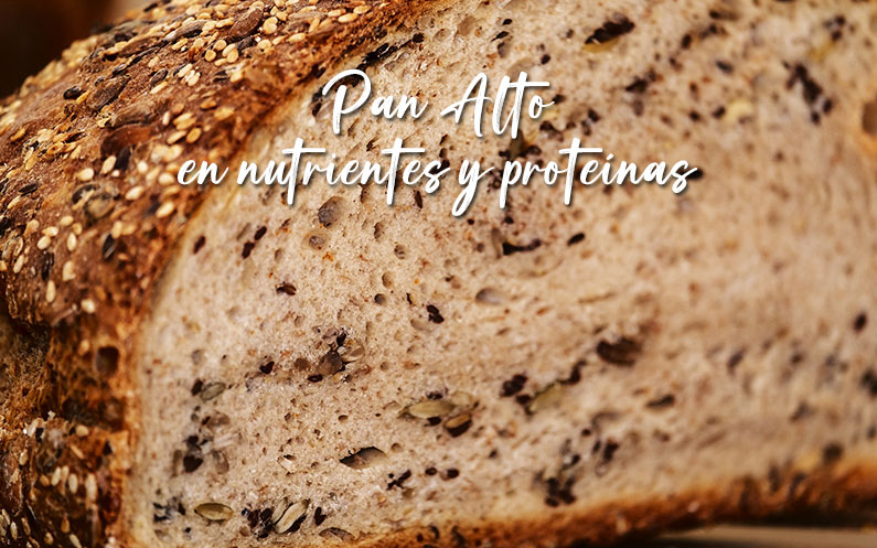 ¿Cuál es el pan alto en nutrientes y proteínas beneficiosas?