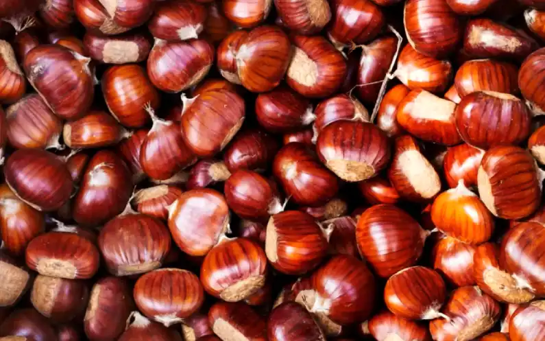 Castañas: Recetas y puestos de venta en el Valle del Guadalhorce